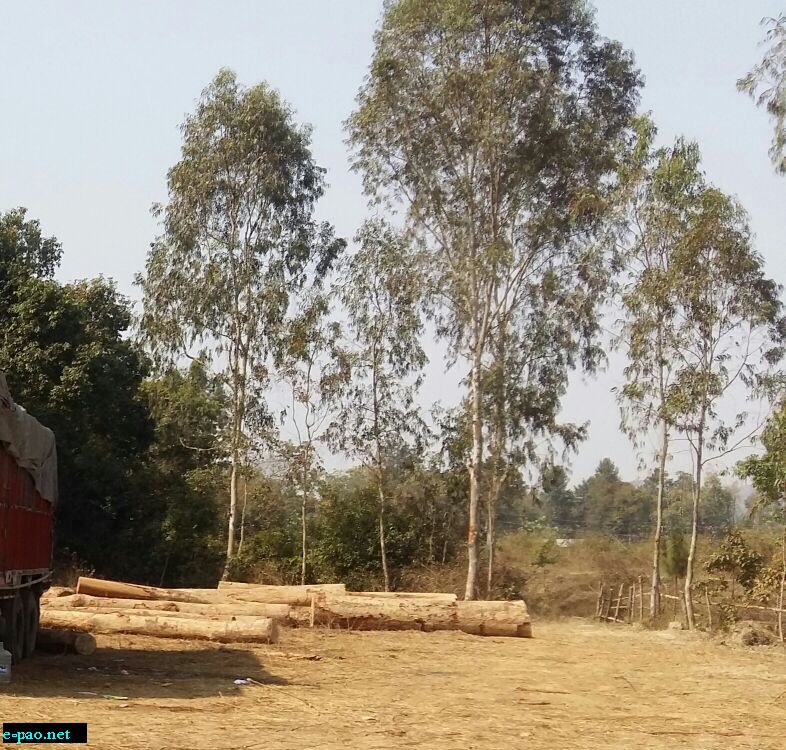 Illegal timber smuggling curbed 20180210