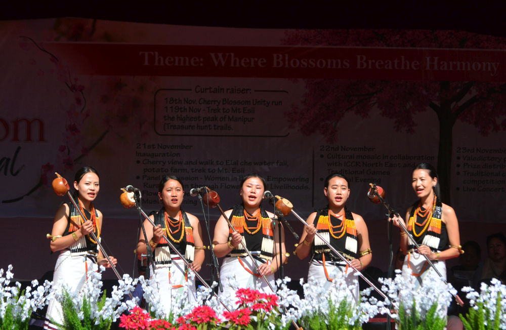 Manipur Cherry Blossom and Flower Festival at Motu Tubvii, Mao Gate ...