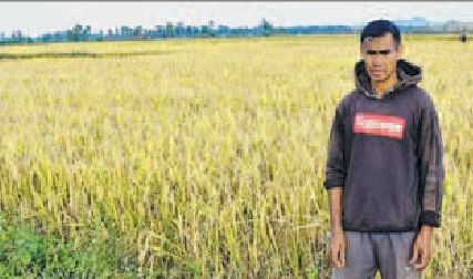 Emoinu Phou variety could be answer to drought, flood : 11th jul25 ~ E ...