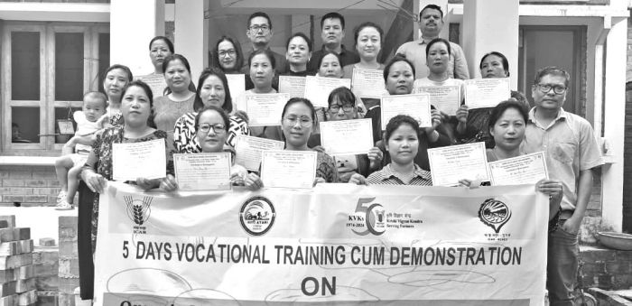 KVK-CCpur conducts training on mushroom cultivation : 26th jul25 ~ E ...