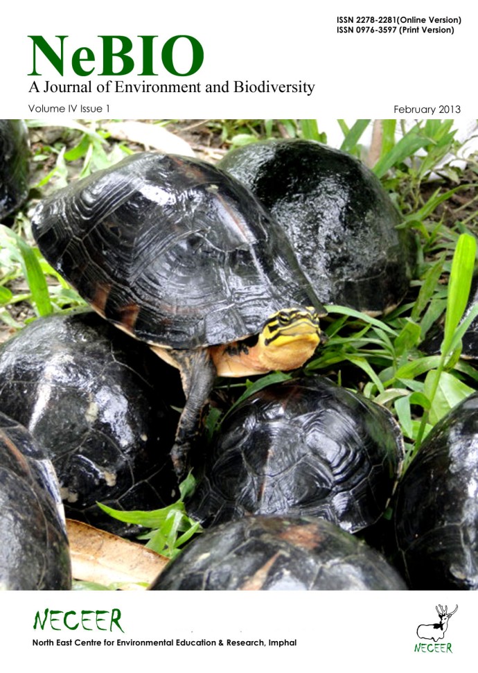 NeBIO Volume IV Issue 1 February 2013 20130614