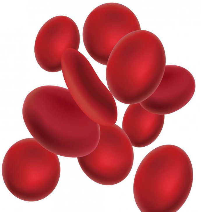 Advantages of Leukodepleted Concentrated Red Blood Corpuscles