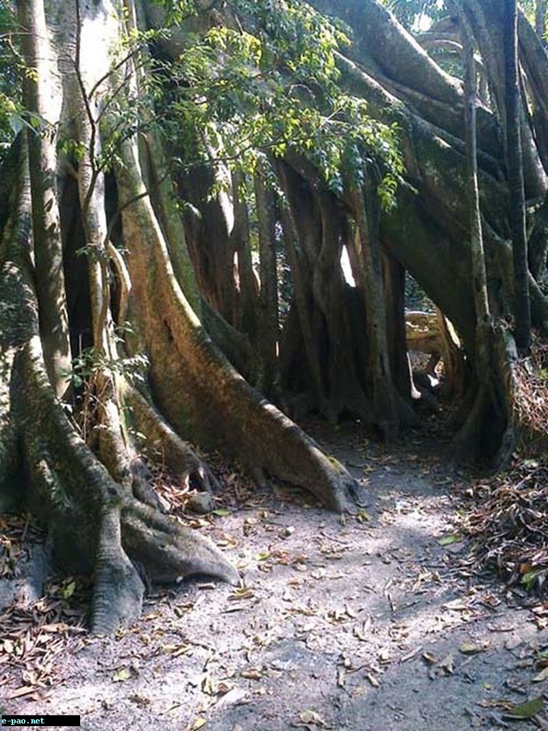 Three millennia mythology still resonates at Konthoujam Lairembi By ...