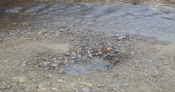 An Alarming Visual Pictures of present day Nongpok Sekmai River By Asem ...