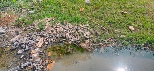An Alarming Visual Pictures of present day Nongpok Sekmai River By Asem ...