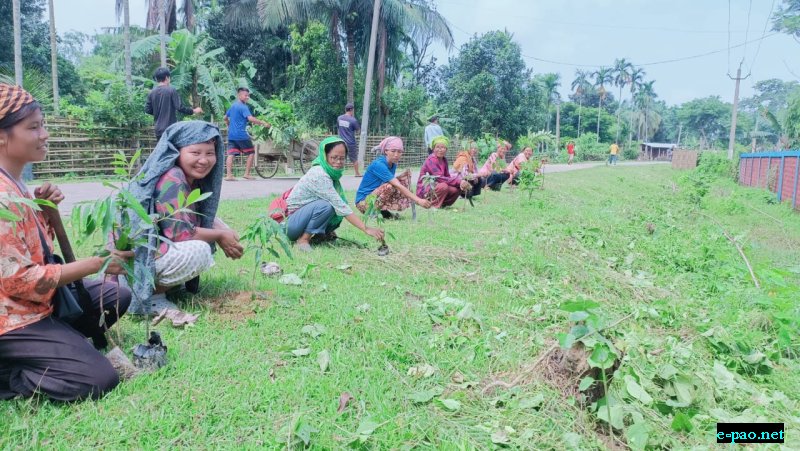 Plantation drives to promote environmental sustainability in Tripura ...