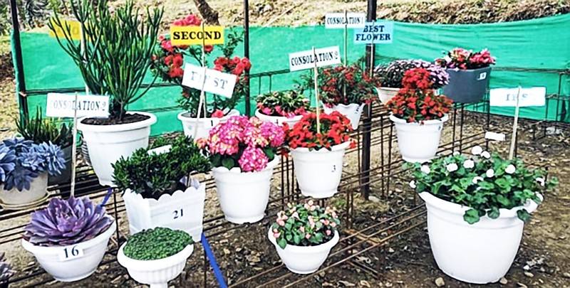 Problems and prospects of floriculture in Manipur By U Chaoba