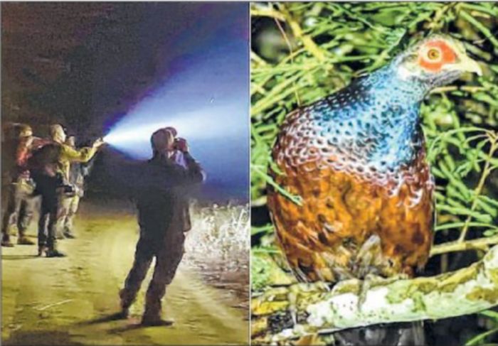 How Jessami conservation of Mrs Hume Pheasant is nurturing ecosystem By ...